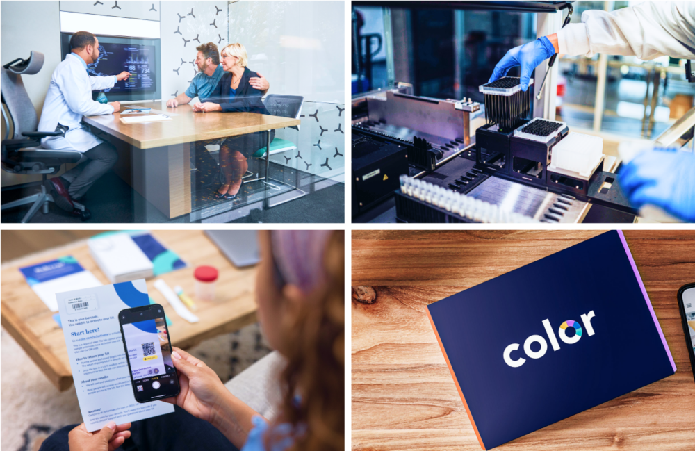 Learn about the genes Color analyzes